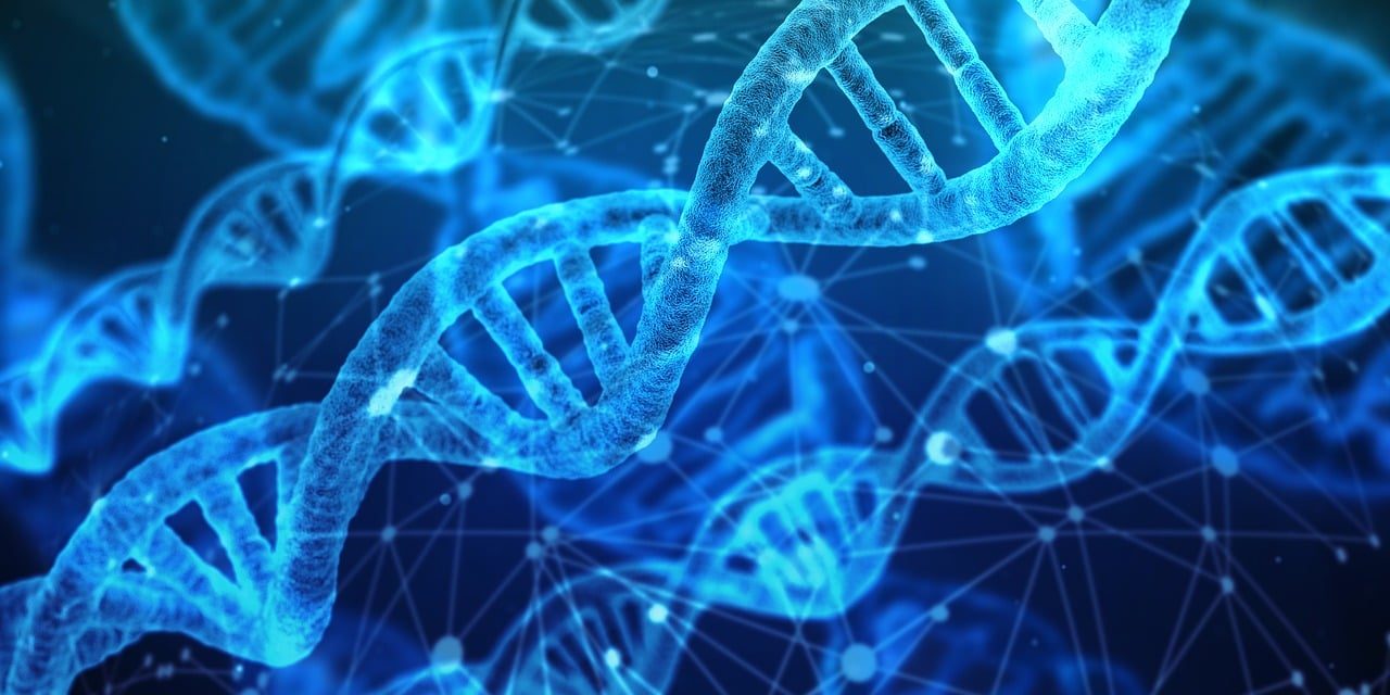 Could this DNA-guided CRISPR cure diseases without damaging your genome?