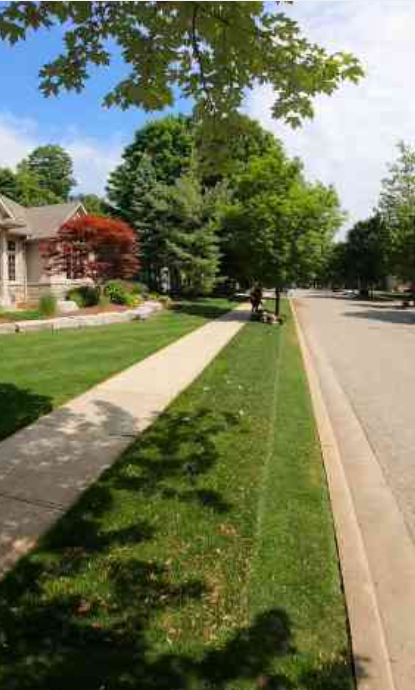 Lawn maintenance for beginners: Essential tips you need