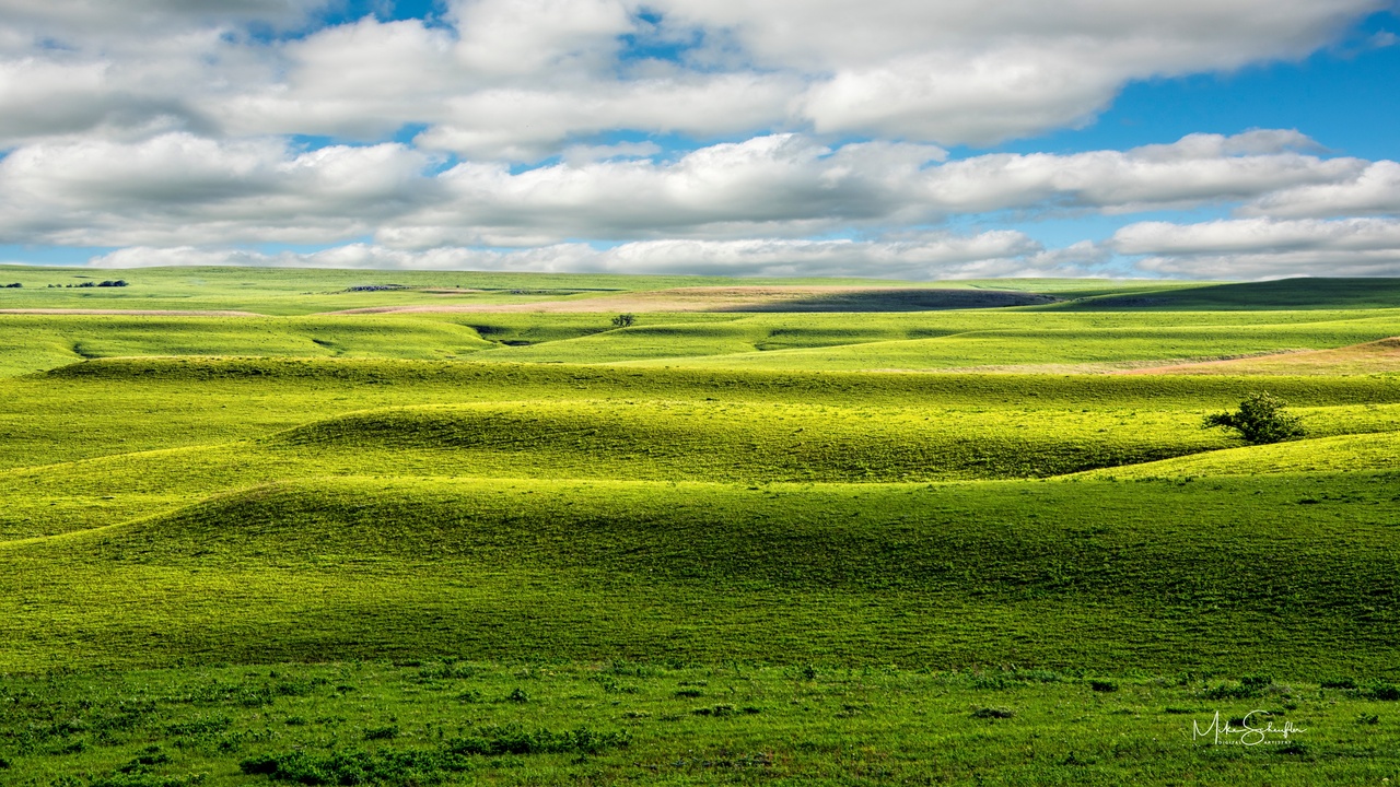 Spring fires, roaming bison, and grass taller than your waist: welcome ...