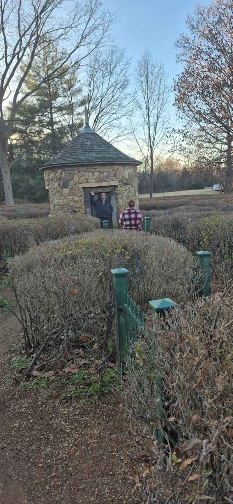 This secret Indiana hedge labyrinth turns a casual nature walk into a ...