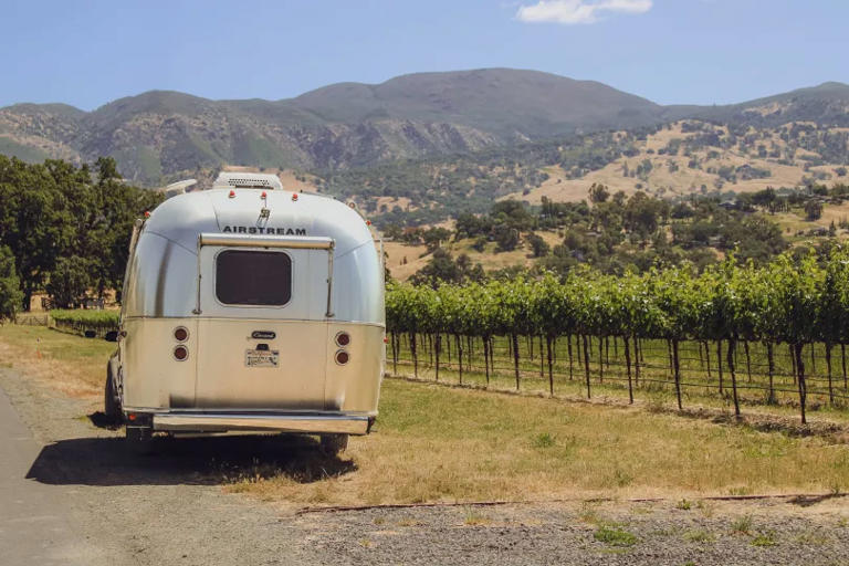 California wine bosses pivot to old-school revenue source as wine cash ...