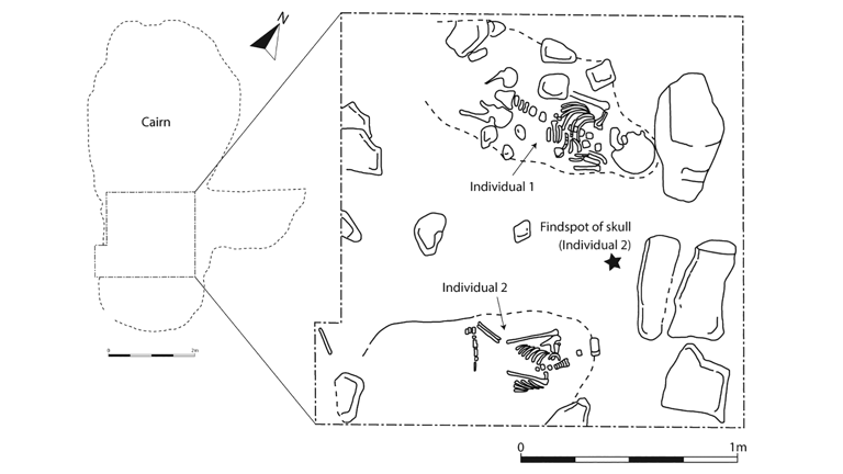 2,000 years ago in Scotland, people removed a corpse's brain and ...