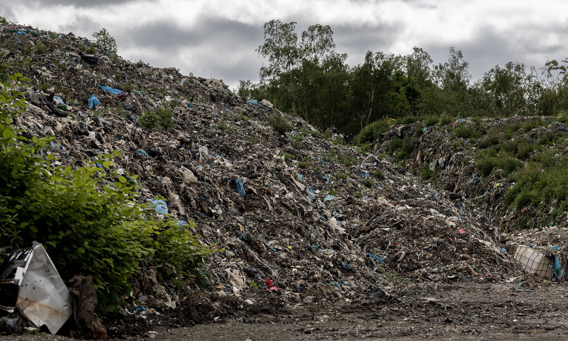 Reform UK vows to make Britain beautiful again with major crackdown on ...