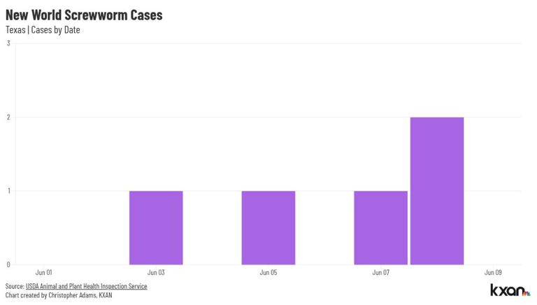Map: Where have New World screwworm cases been reported in Texas?