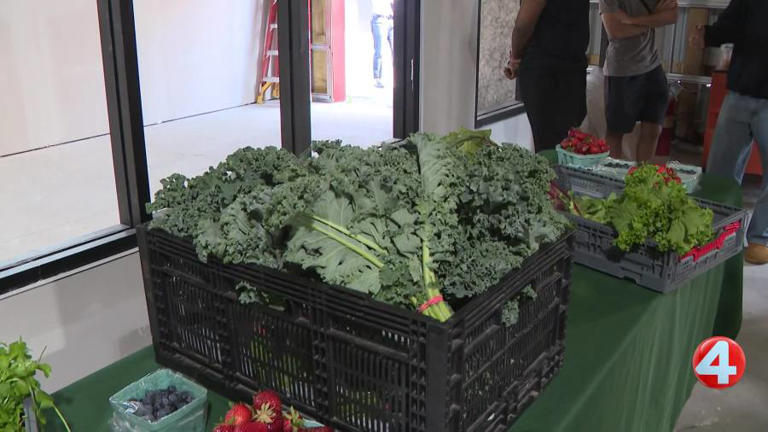 Buffalo Go Green receives funding boost