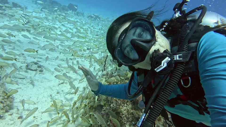 Bimini underwater magic 🤿🌊