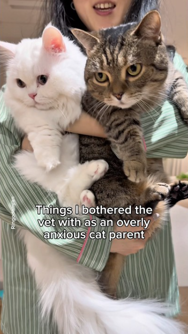 Every cat parent is a little dramatic