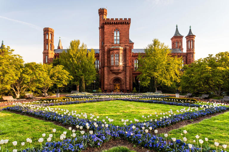 7 new things to see at the National Mall this summer