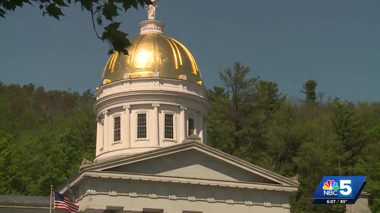 New animal cruelty law to take effect in Vermont next month