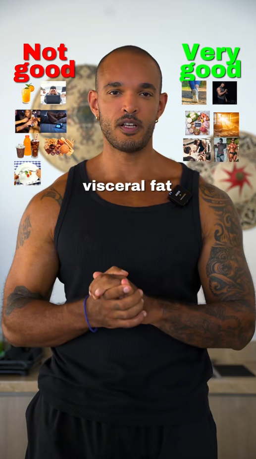 Understanding visceral fat and how it affects health