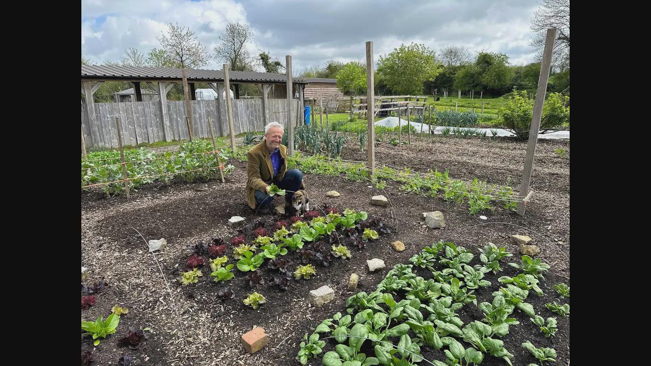 Results of different covers on new vegetable plantings in spring, and ...