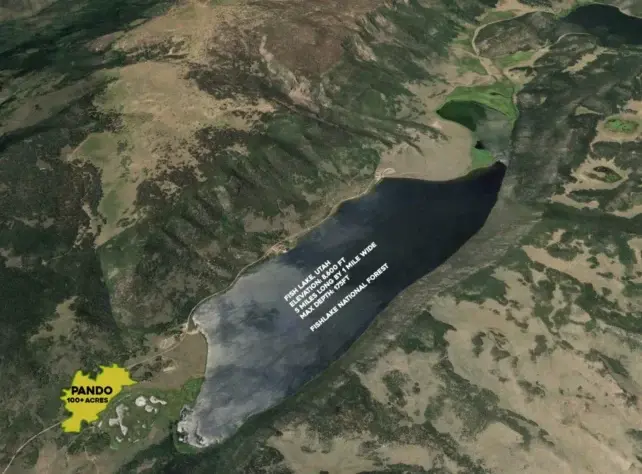 Haunting sounds of the world's largest living thing recorded