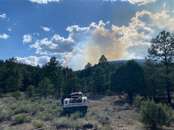 Bear Fire burns 60 acres southeast of Quemado