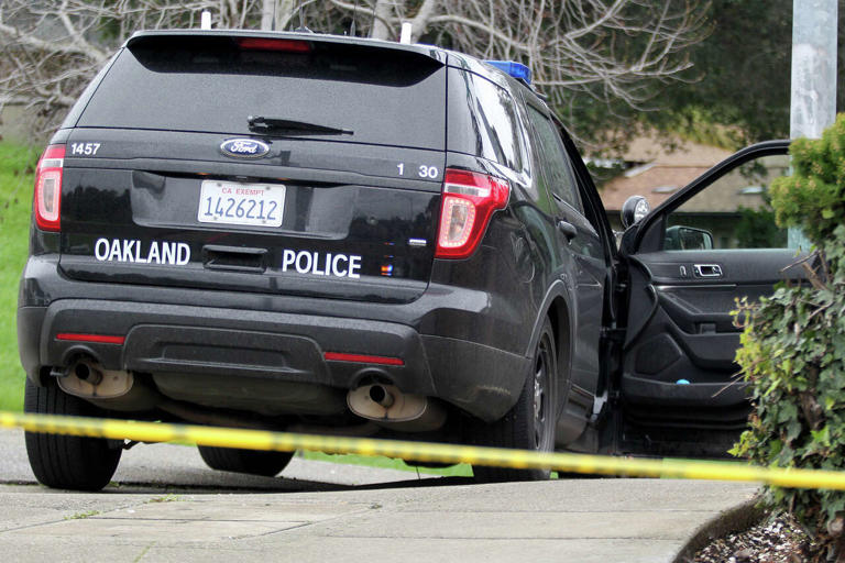 Suspect accused of driving 'recklessly' and smashing into OPD car ...