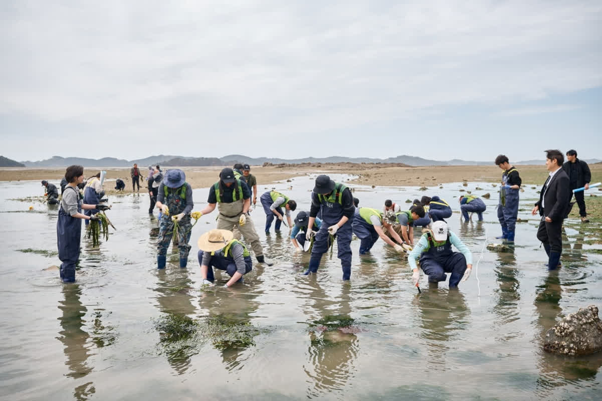 환경재단·코오롱인더, 가로림만에 바다숲 조성