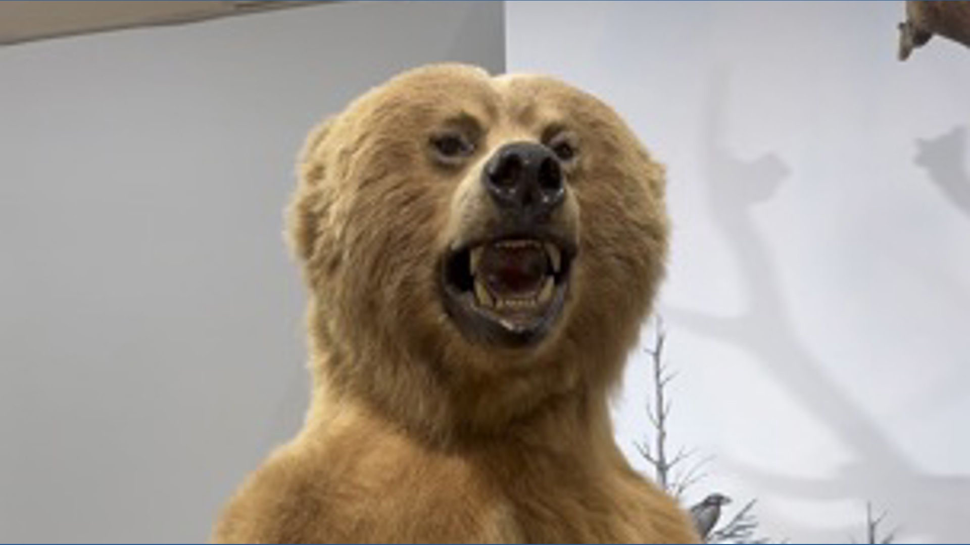 Nixon Park Nature Center reopens in York County