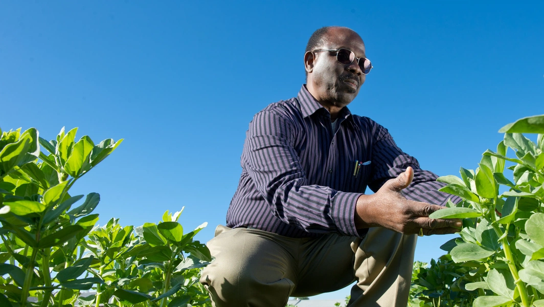 How plants make their own fertilizer naturally