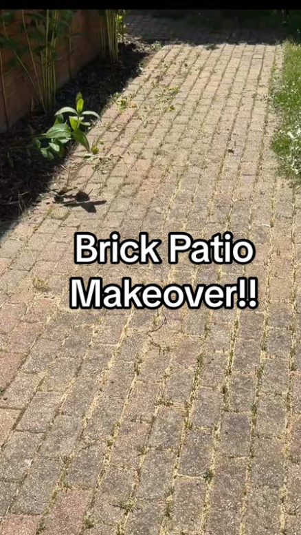 Patio refresh secrets after pressure washing for stunning results