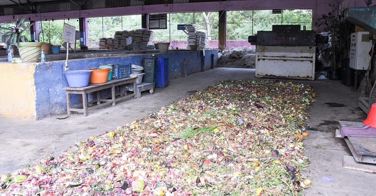 Adopt decentralised waste management system, strengthen segregation ...
