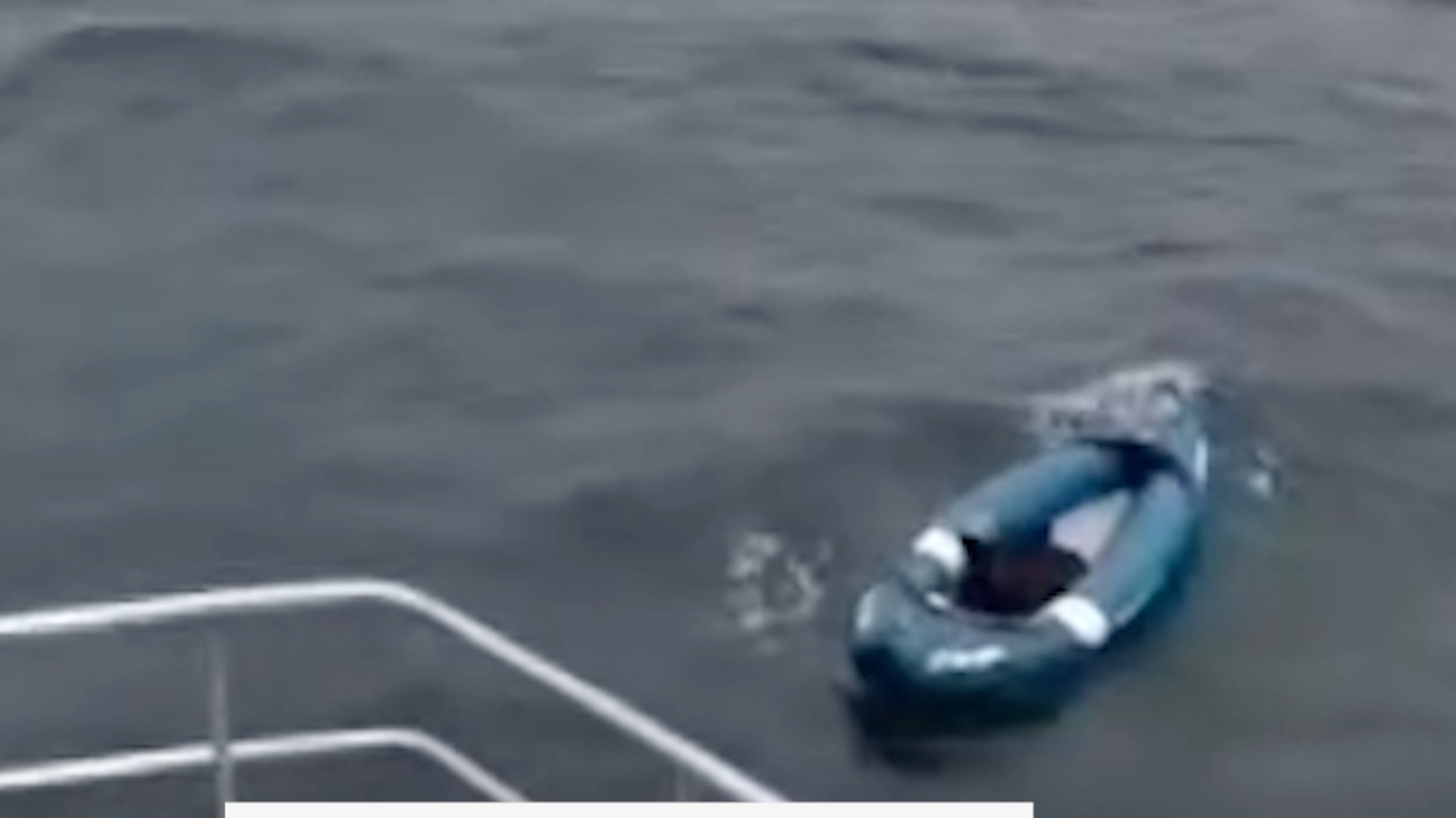 A dog was rescued from a kayak lost at sea