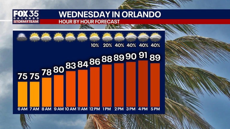 Orlando weather: Rainy season returns as storms and tropical humidity ...