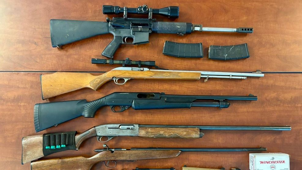 Over 3,000 illegal marijuana plants destroyed, seven guns seized in ...