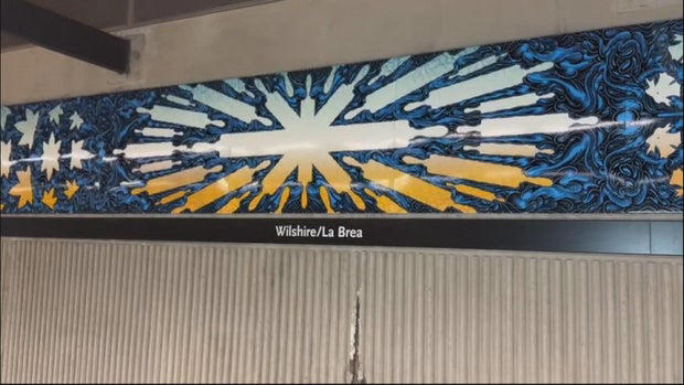 Showcasing the public art along Metro's D Line extension