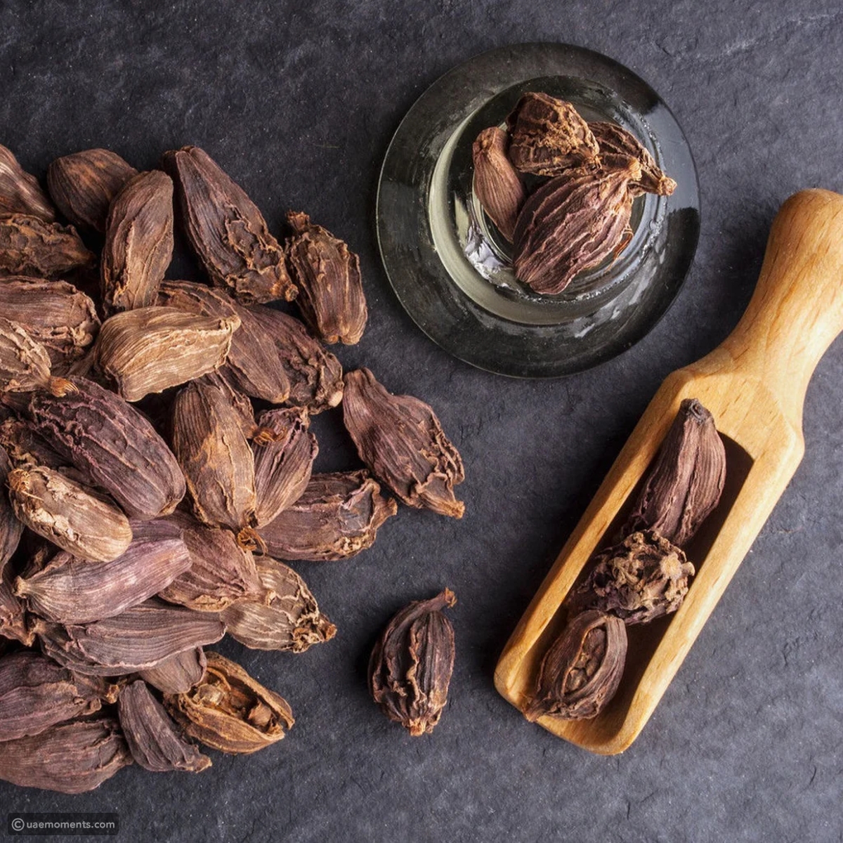 Savoring spice: A tribute to National Herbs & Spices Day