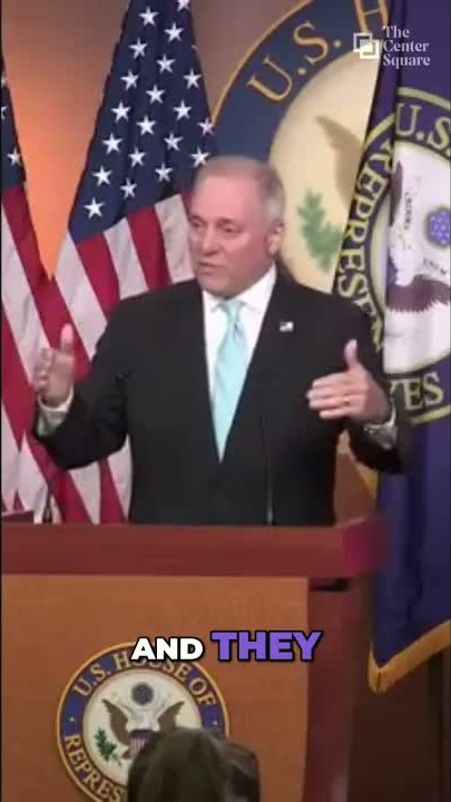 Scalise questions lengthy ballot counting process