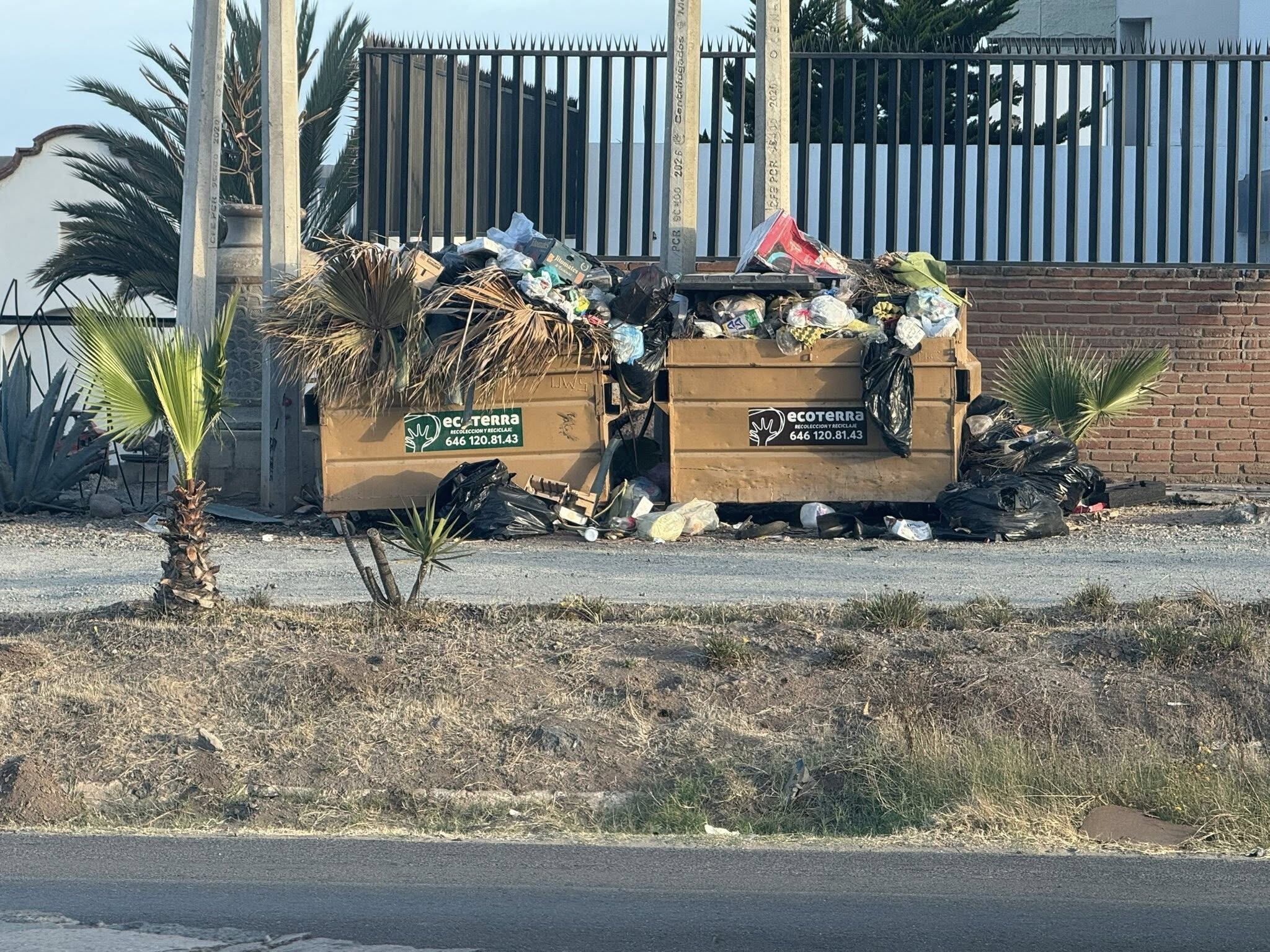 Ensenada enfrenta crisis de basura comercial