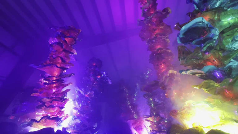 Summerfest, FuzzPop unveil immersive Radiant Echoes art installation