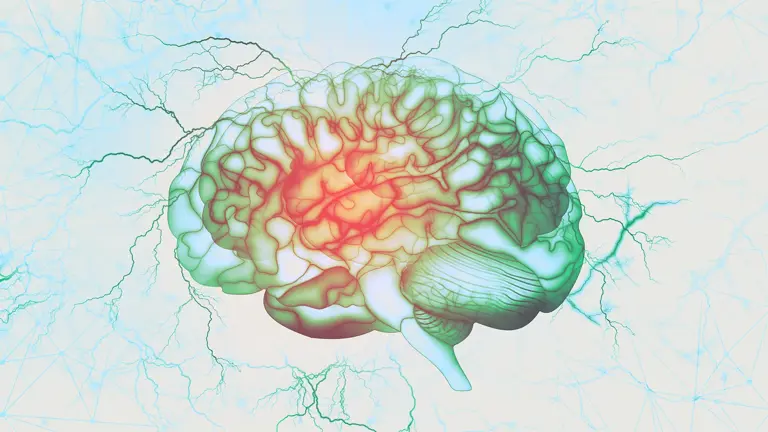 Scientists just discovered the brain chemical that controls your ...