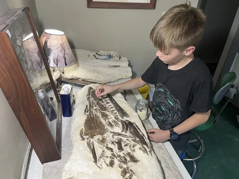 Kansas boy discovers rare 80-million-year-old fossil during field trip