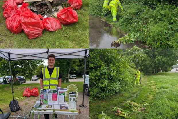 Volunteers remove 8,500 invasive plants from Torfaen green spaces