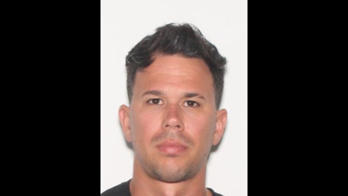 Tampa police search for man after fatal hit-and-run