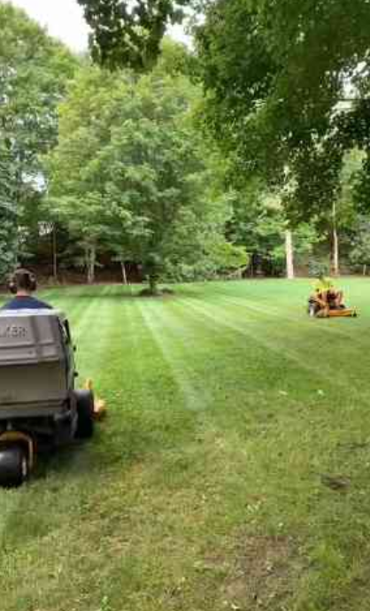 Achieve a lush green lawn quickly with proven tips