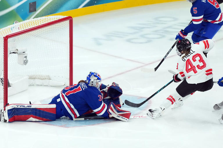 Setting a foundation: What we've learned about the PWHL's 4 newest ...
