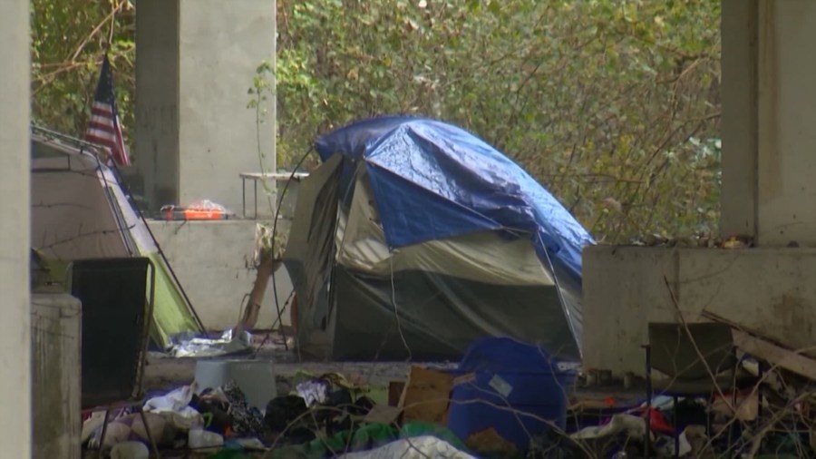 Chatham County homeless population decreasing, numbers show