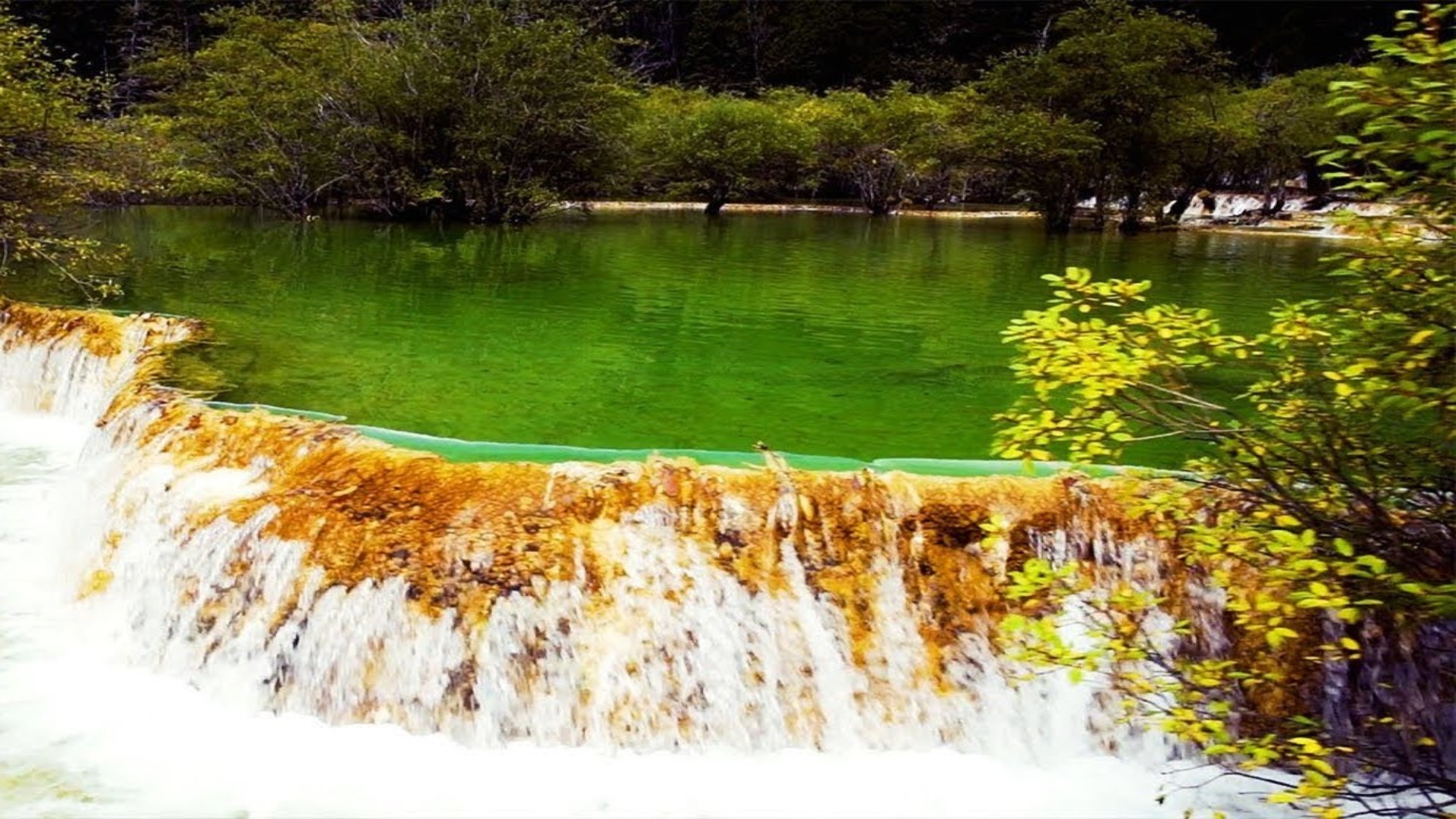 Huanglong Valley, China's yellow dragon of hot springs