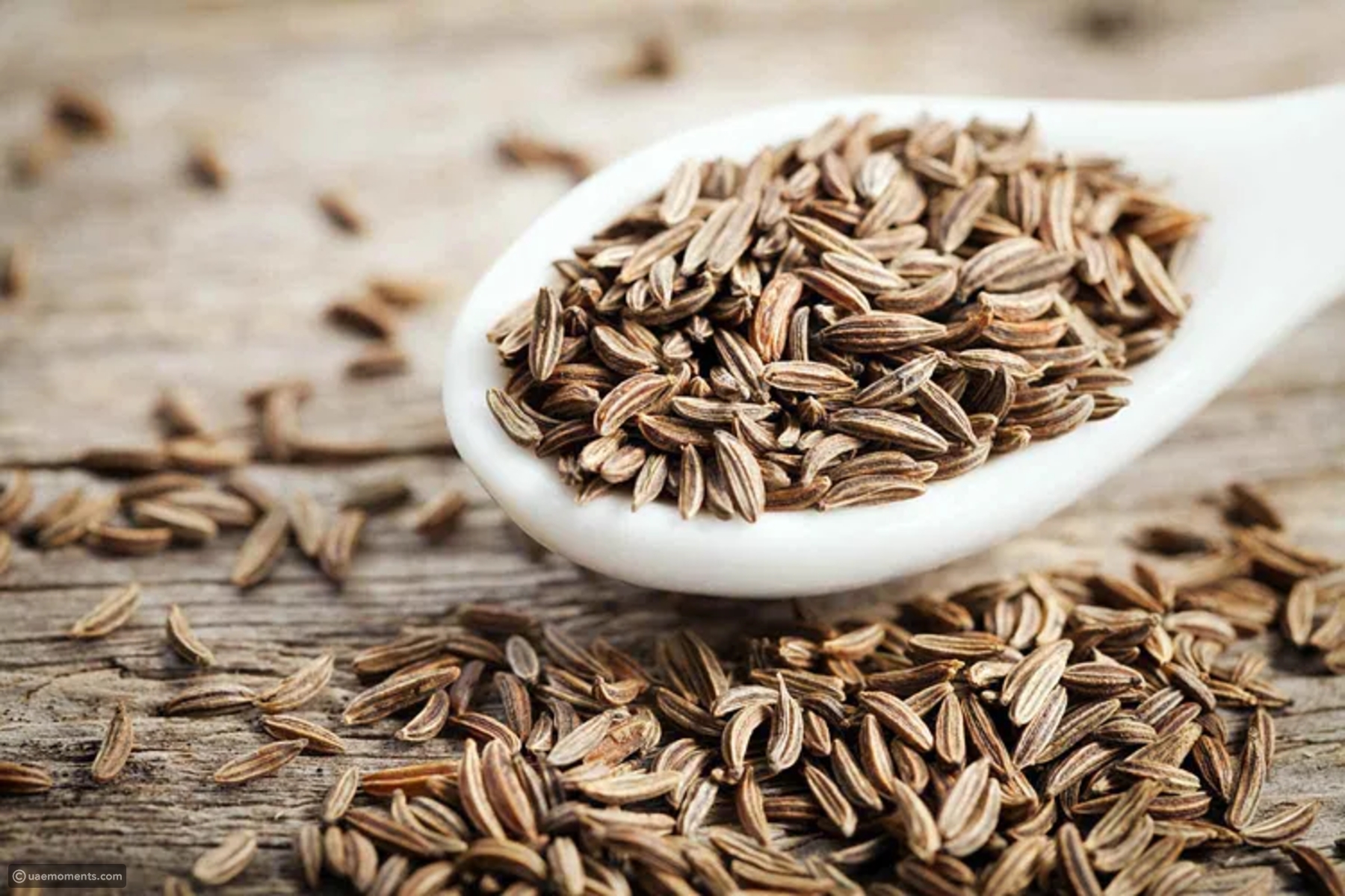 Savoring spice: A tribute to National Herbs & Spices Day