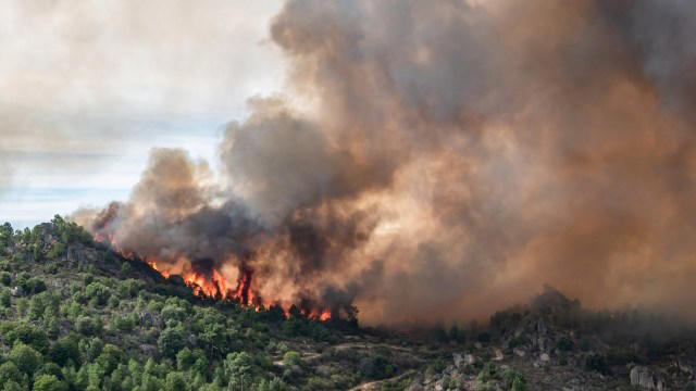 Colorado officials warn homes can be lost to flying embers long before ...