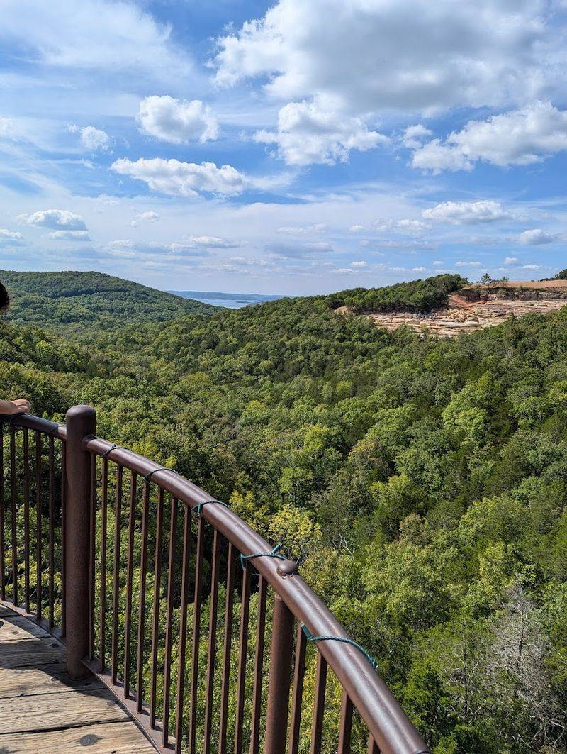 This stunning mountaintop Missouri preserve supports wildlife ...