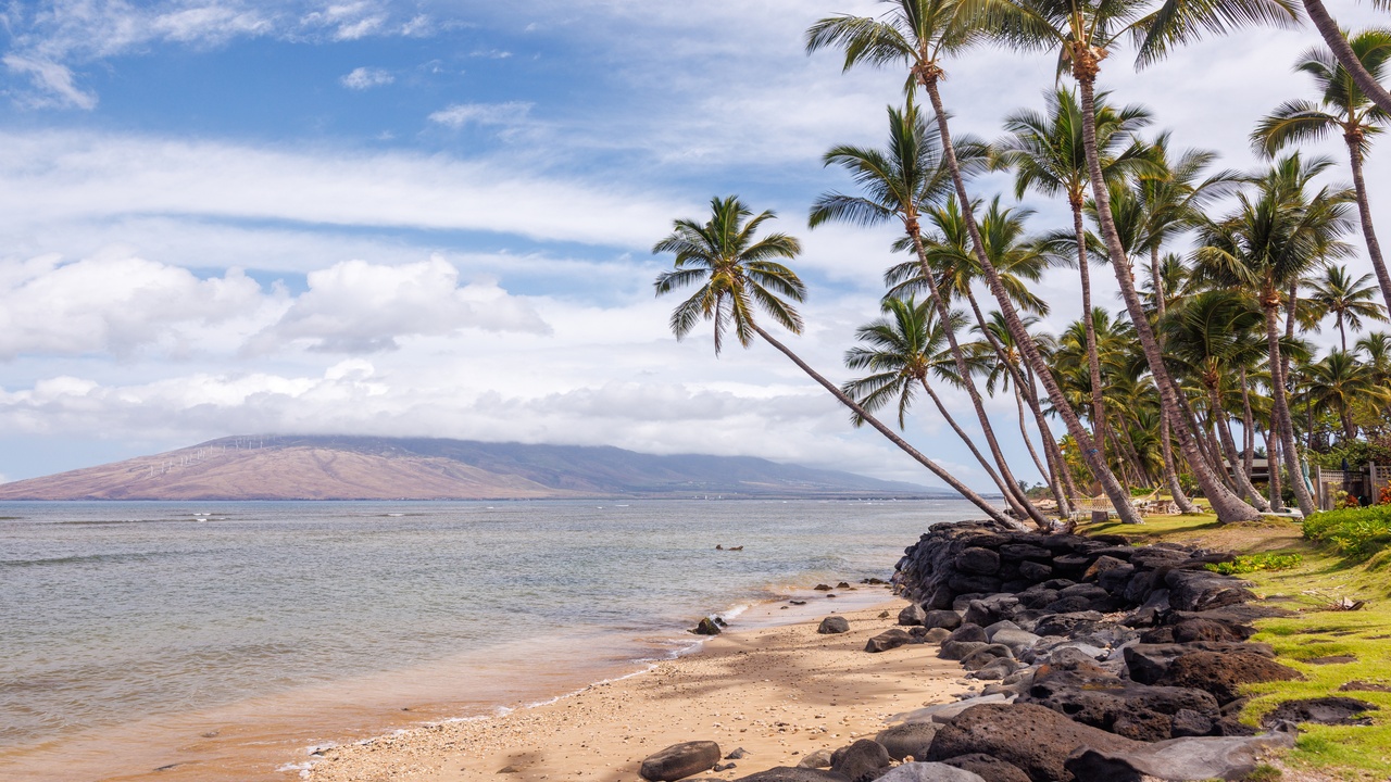 One-lane bridges, black sand beaches, and waterfalls you lose count of ...