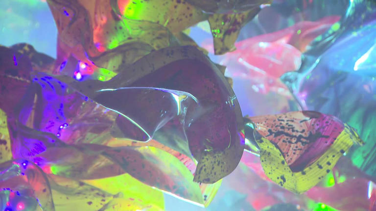 Summerfest, FuzzPop unveil immersive Radiant Echoes art installation