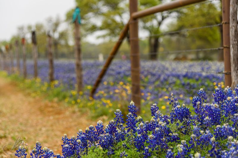 7 Texas scenic drives that show off the state’s best landscapes