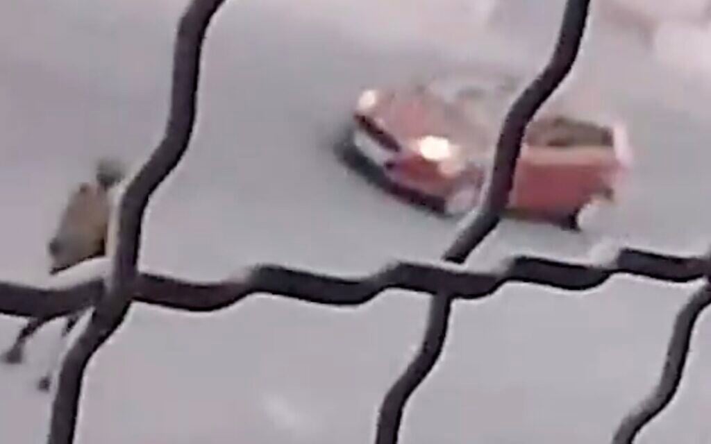 Video appears to show moment IDF soldier fired at family’s car in ...