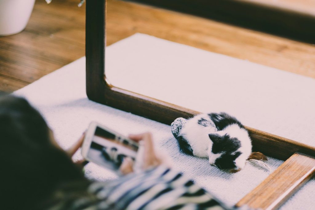 What happens when a dog raises a kitten for five years?