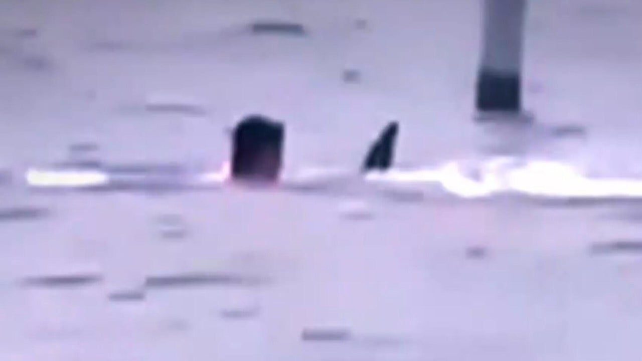 Florida man fights off shark, now in critical condition