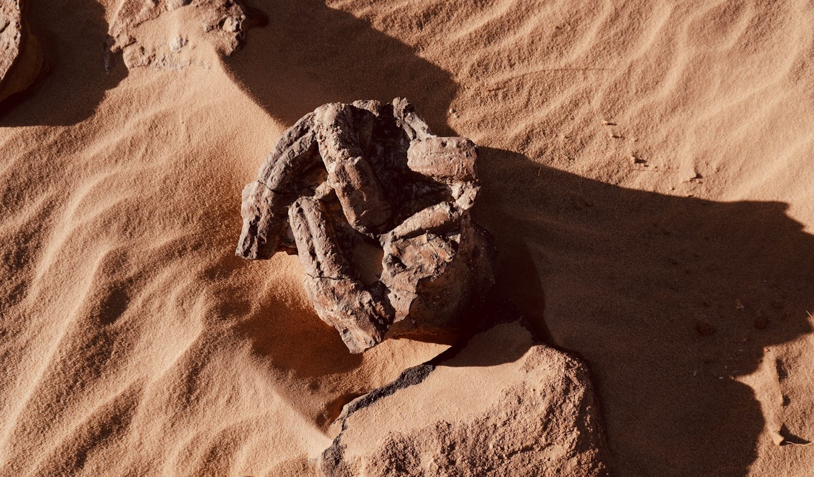 The desert find: How an 8-year-old boy stumbled upon a 1,700-year-old ...