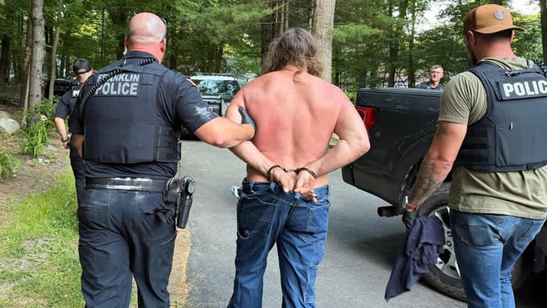 Suspect with "extensive criminal history" arrested after wild police ...